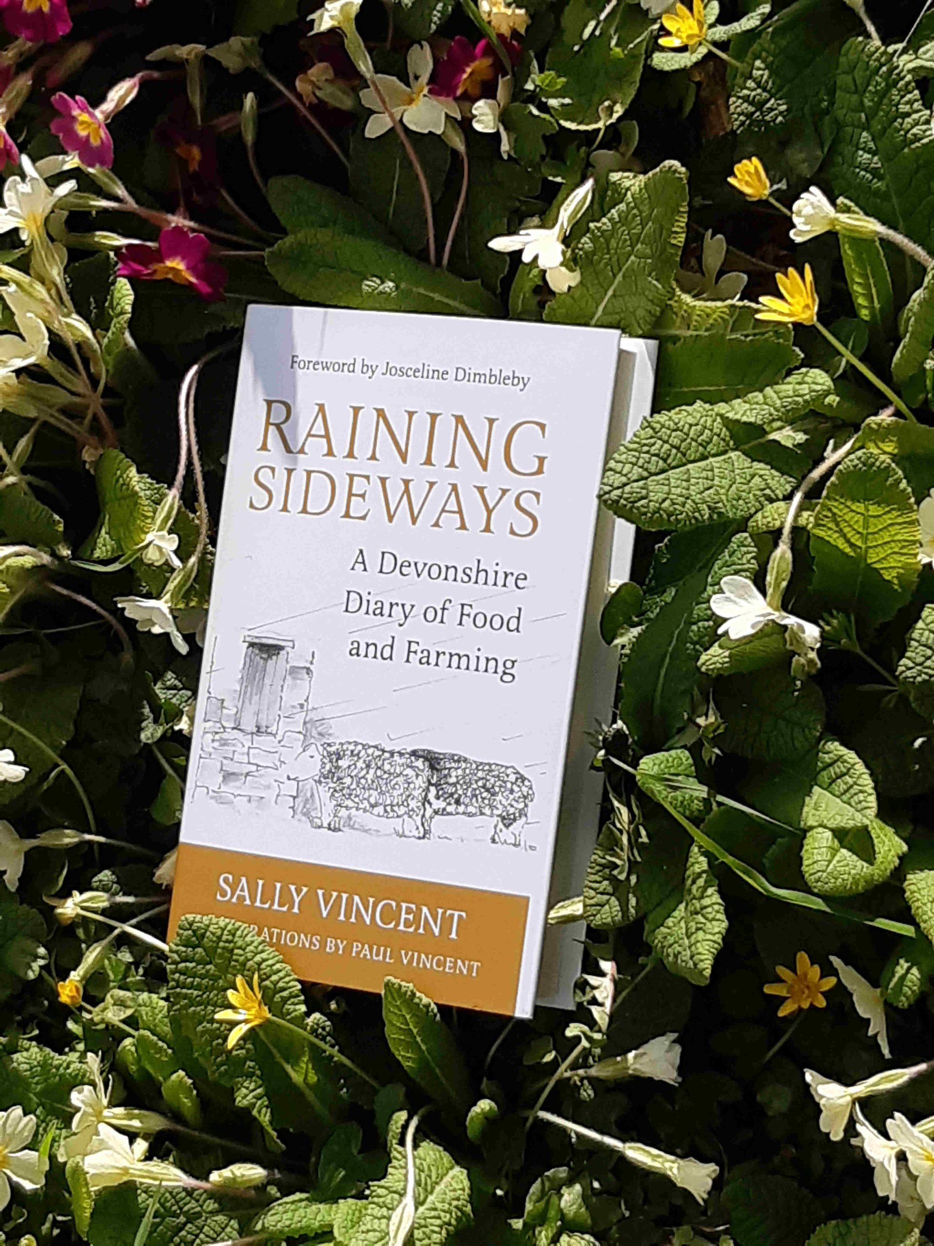 Raining Sideways is Back ! – Raining Sideways